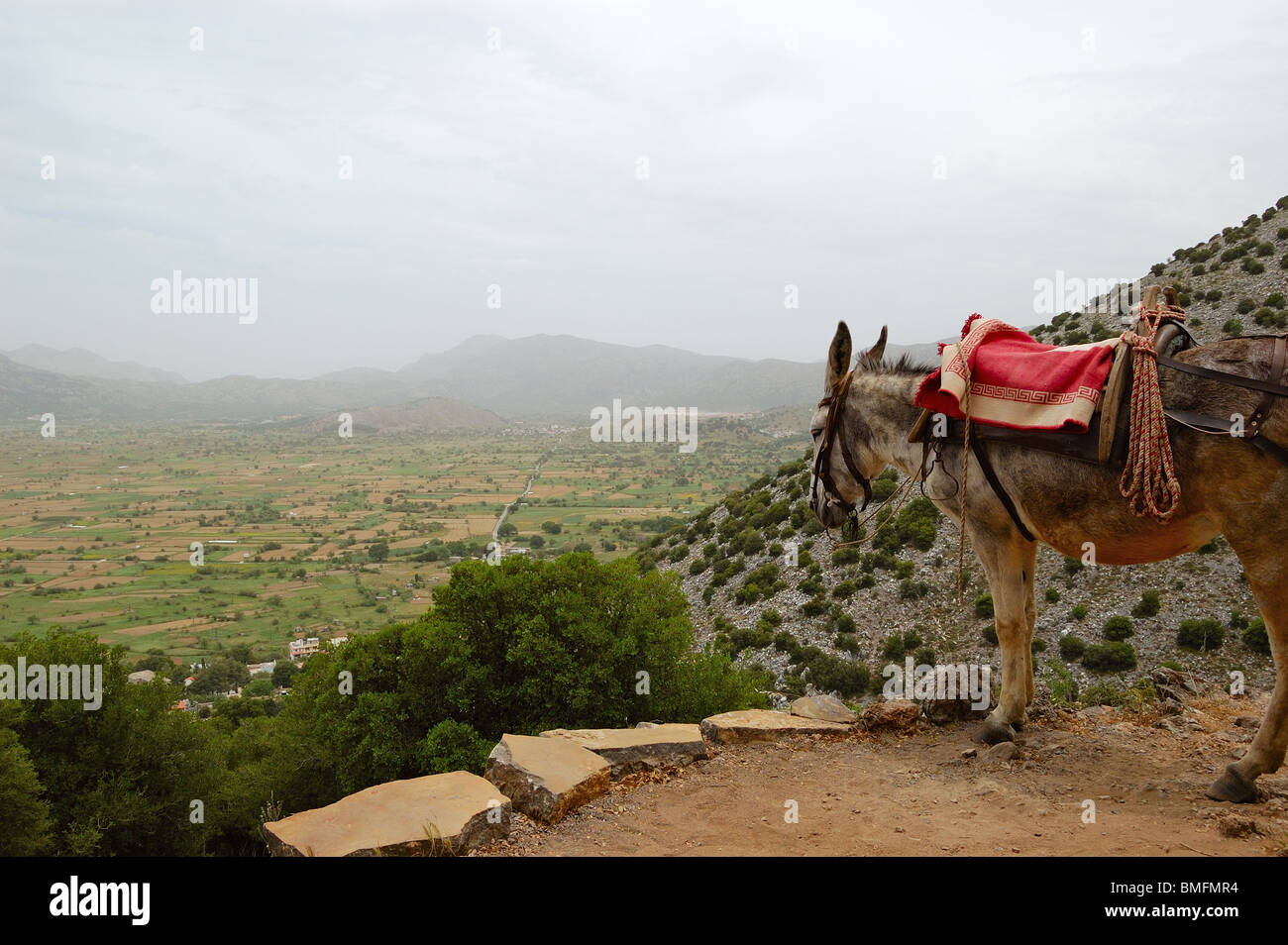 Donkey and Lassithi Plateau view, Crete, Greece Stock Photo - Alamy