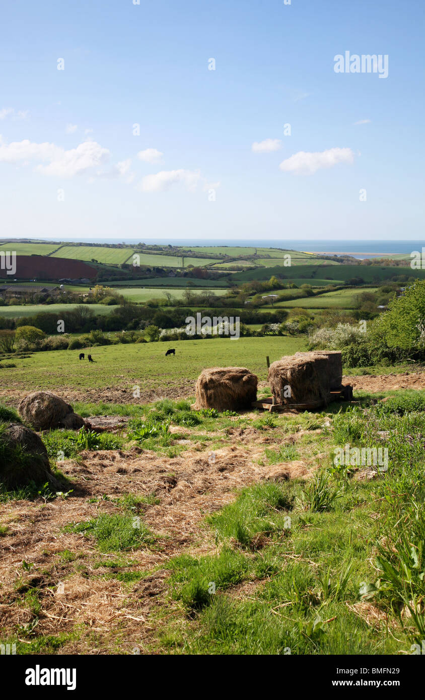 Friar Waddon a small hamlet on the road between Upwey and Portesham ...