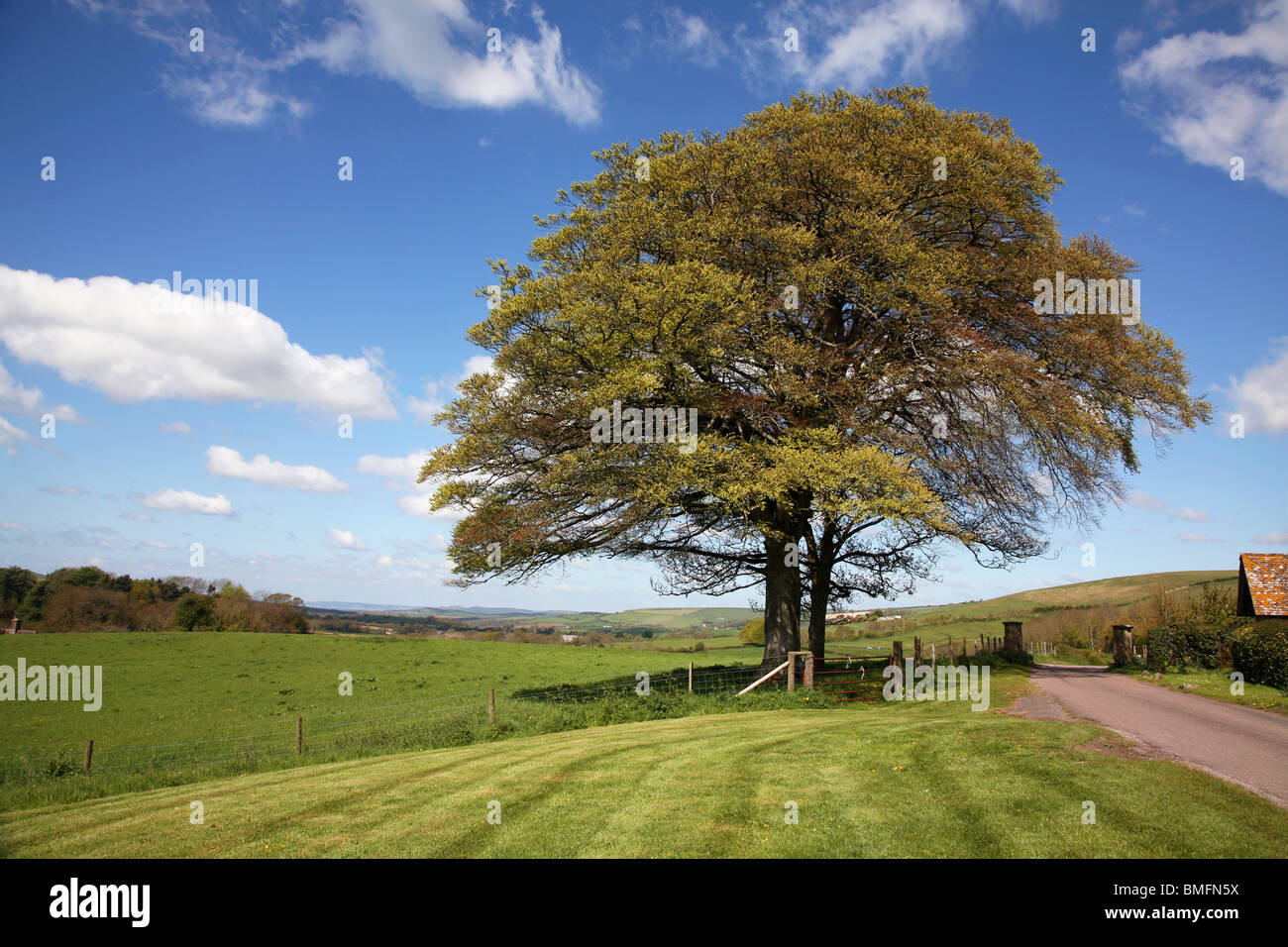 Little bredy dorset hi-res stock photography and images - Alamy
