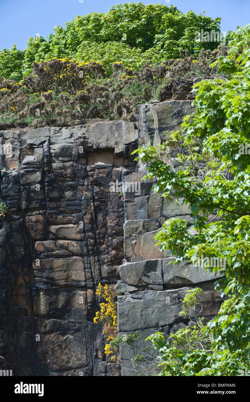 Dolerite cliffs hi-res stock photography and images - Alamy