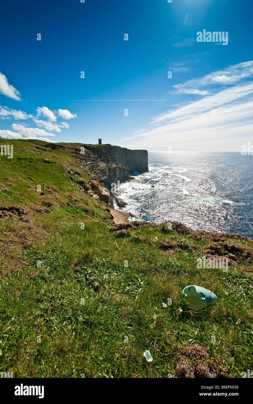 Egg shell marwick head orkney hi-res stock photography and images - Alamy