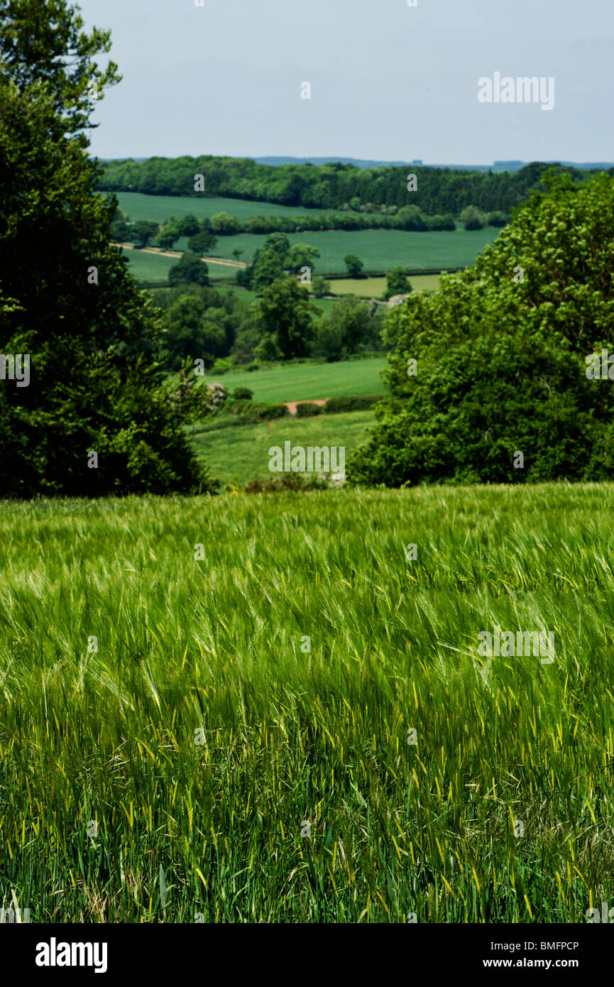 Cotswolds atmospheric hi-res stock photography and images - Alamy