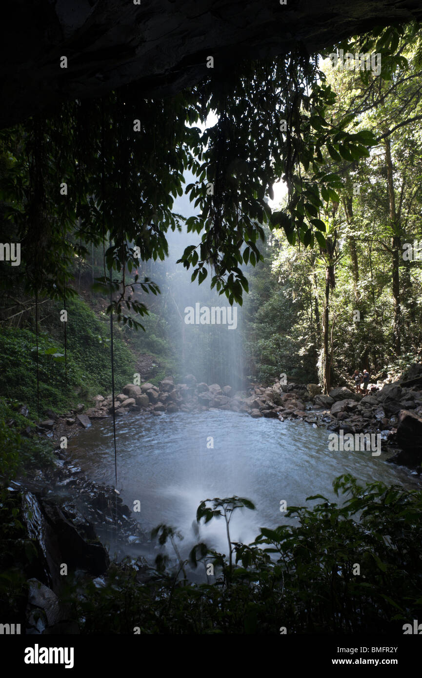 Crystal Shower Falls, as seen from behind the waterfall, Dorrigo ...