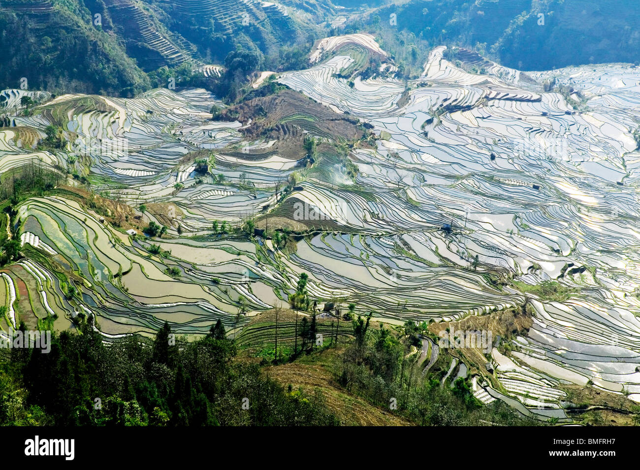 Laohuzui Rice Terraces, Yuanyang County, Honghe, Yunnan Province, China ...