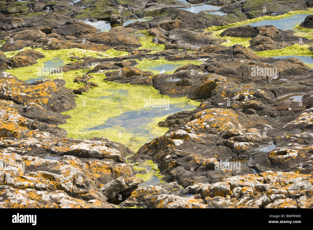 Rocks with pool of water at low tide Craster Northumberland coast ...