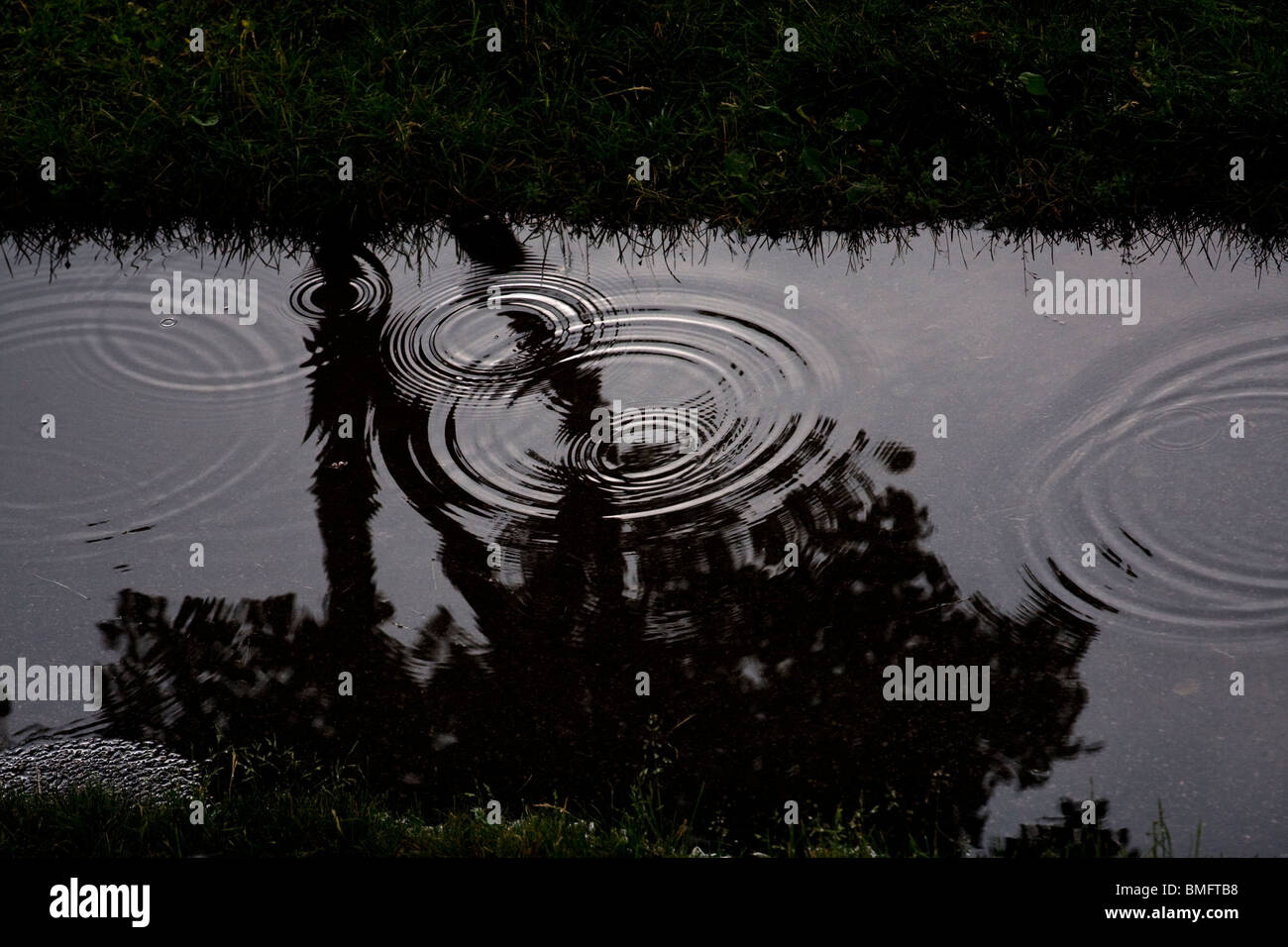 Raindrops falling on puddle hi-res stock photography and images - Alamy