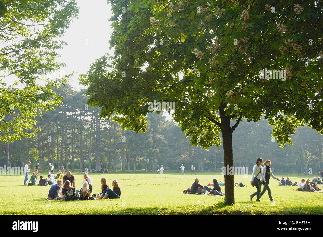 Lawn Green Prater Stock Photo - Alamy