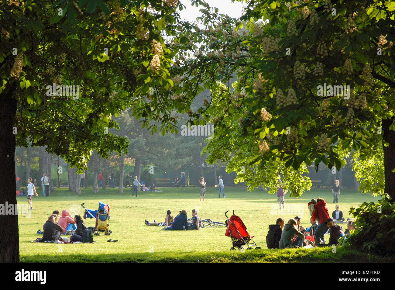 Lawn Green Prater Stock Photo - Alamy