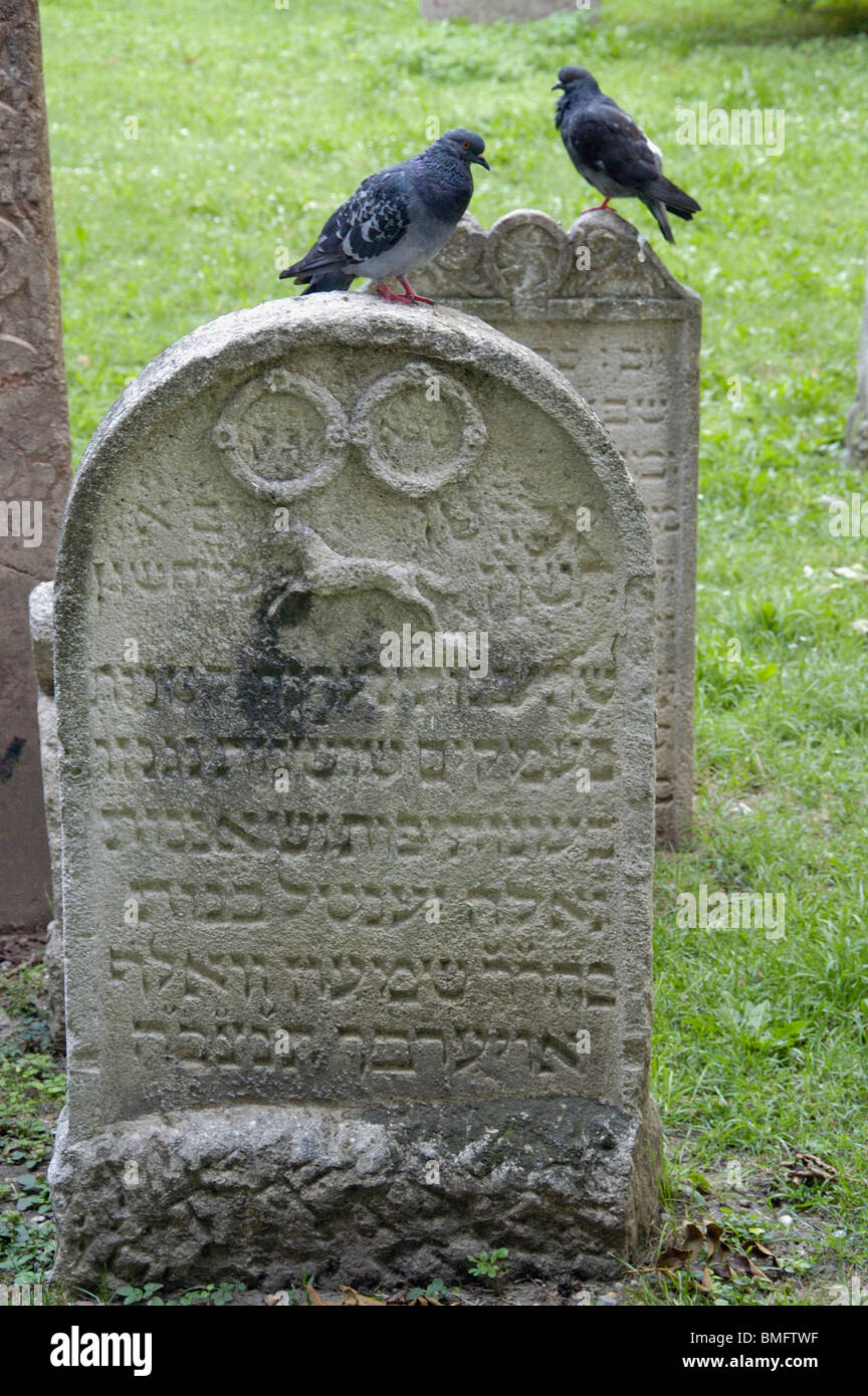 Jewish cemetery in the Seegasse Stock Photo - Alamy