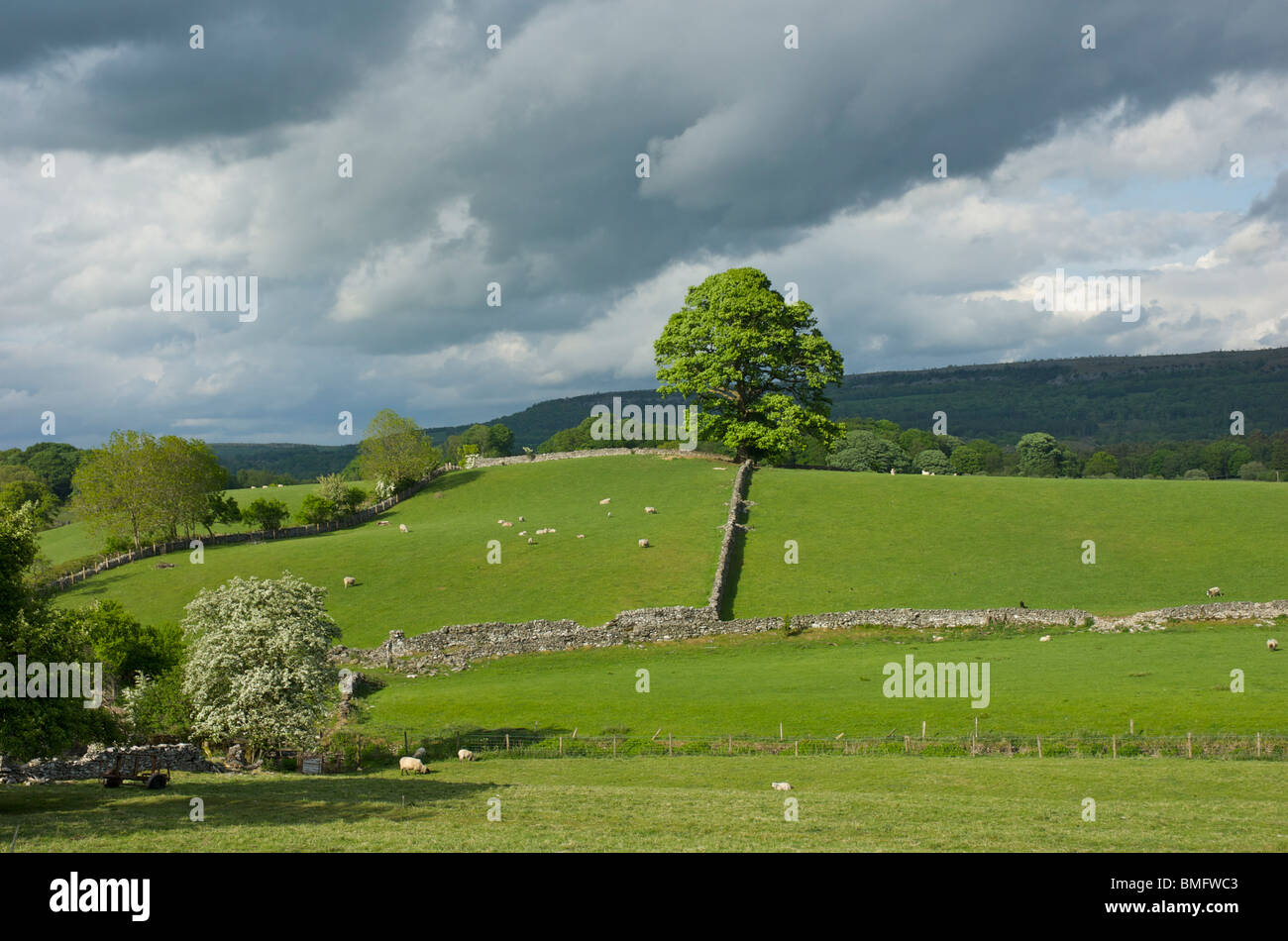 Lyth Valley, Cumbria, England UK Stock Photo - Alamy