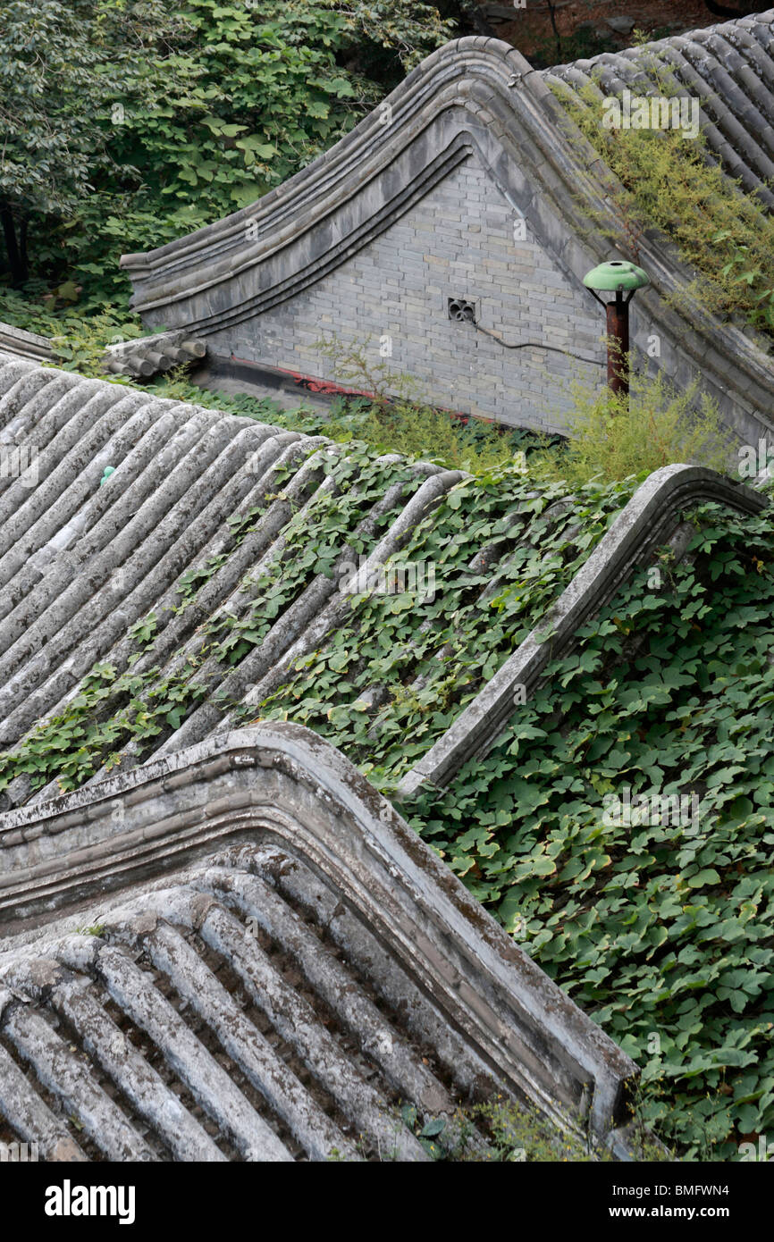 Grey tiles roof of the Chinese traditional temple, Badachu Park ...