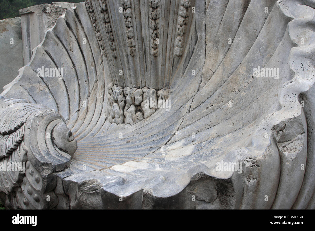 Close-up of a stone shell, Haiyan Tang, Yuanmingyuan Park, Beijing ...