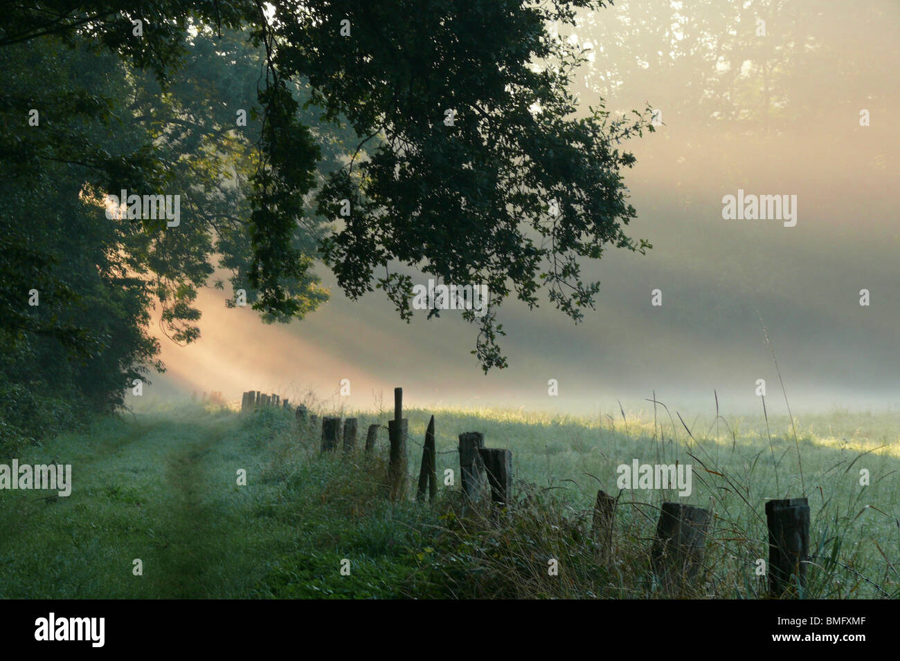 Light moods hi-res stock photography and images - Alamy