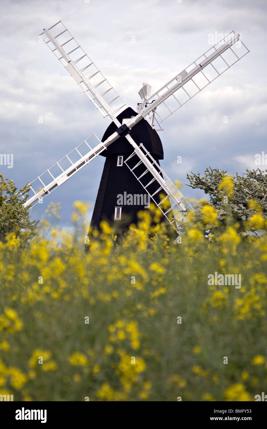 Ripple Mill, Ringwould near Deal in Kent Stock Photo - Alamy
