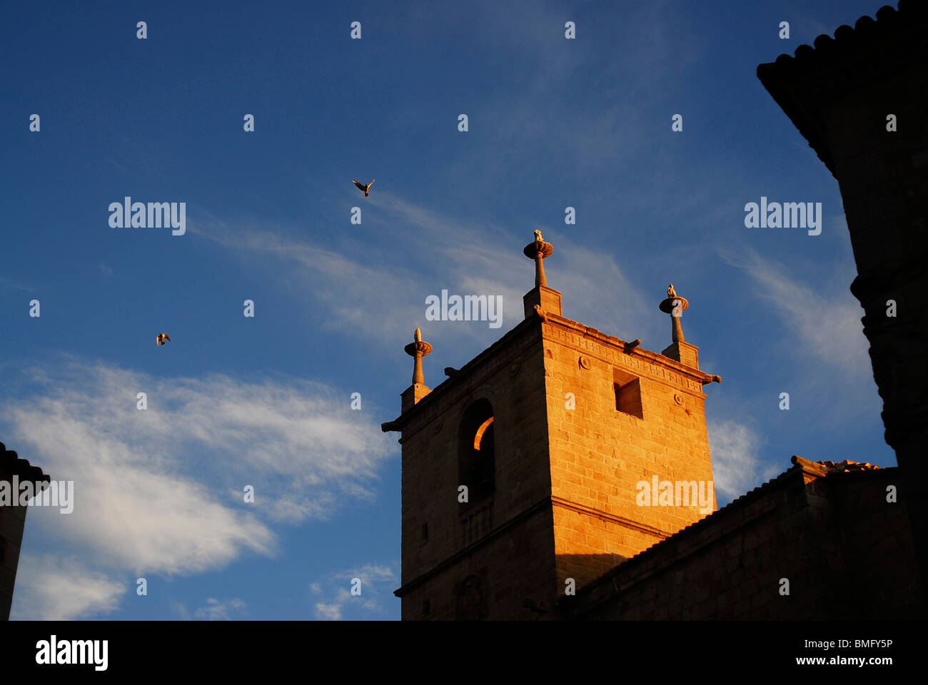 Concatedral de Santa Maria. Caceres. Extremadura, España. Concathedral ...