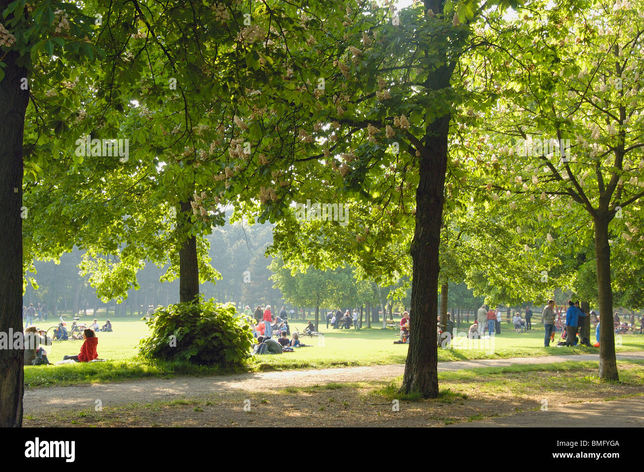 Lawn Green Prater Stock Photo - Alamy