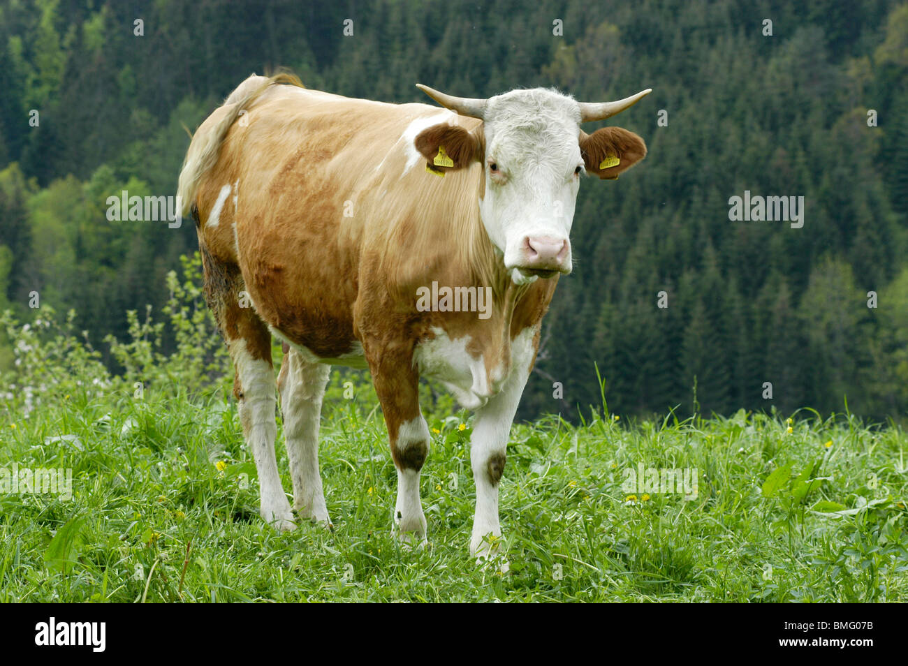Farmers farmings hi-res stock photography and images - Alamy