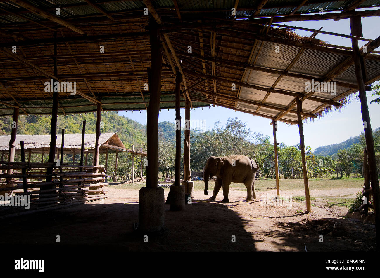 THAILAND, NORTH OF CHIANG MAI: Lek's elephant farm for rescued ...