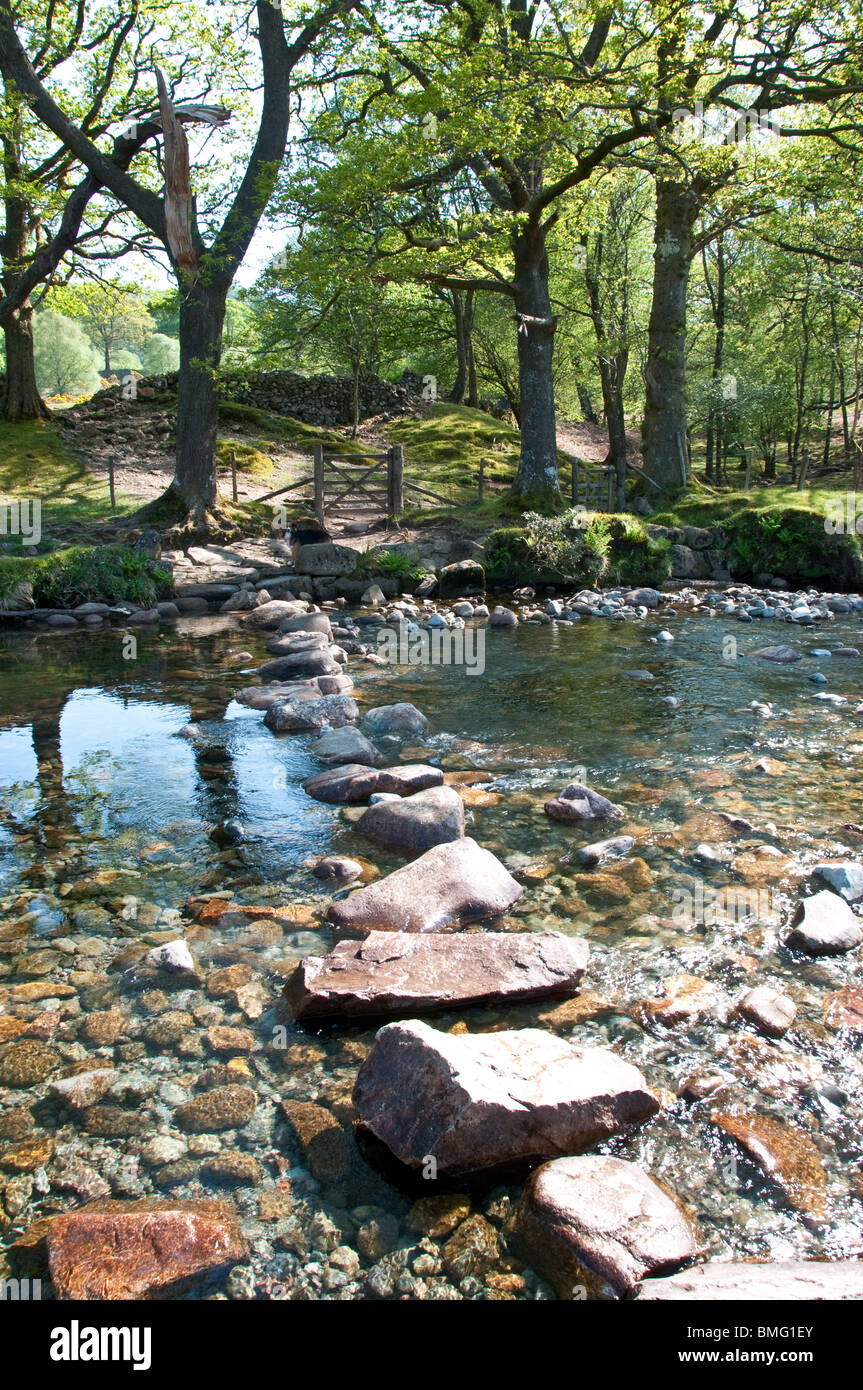Eskdale river walk Lake district with pools and waterfalls Stock Photo ...