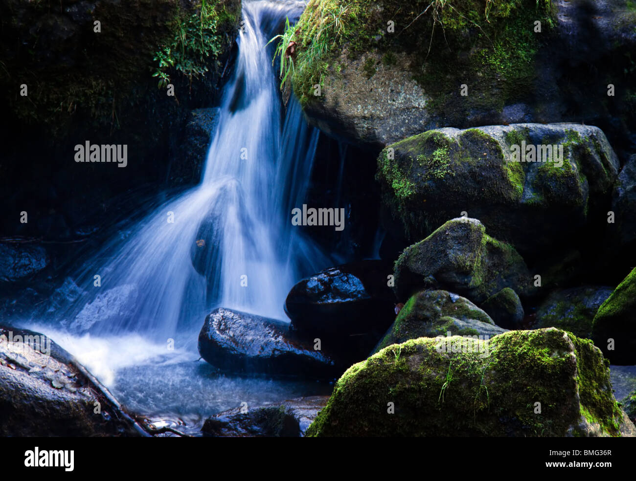A stream with running water and stones (rocks Stock Photo - Alamy