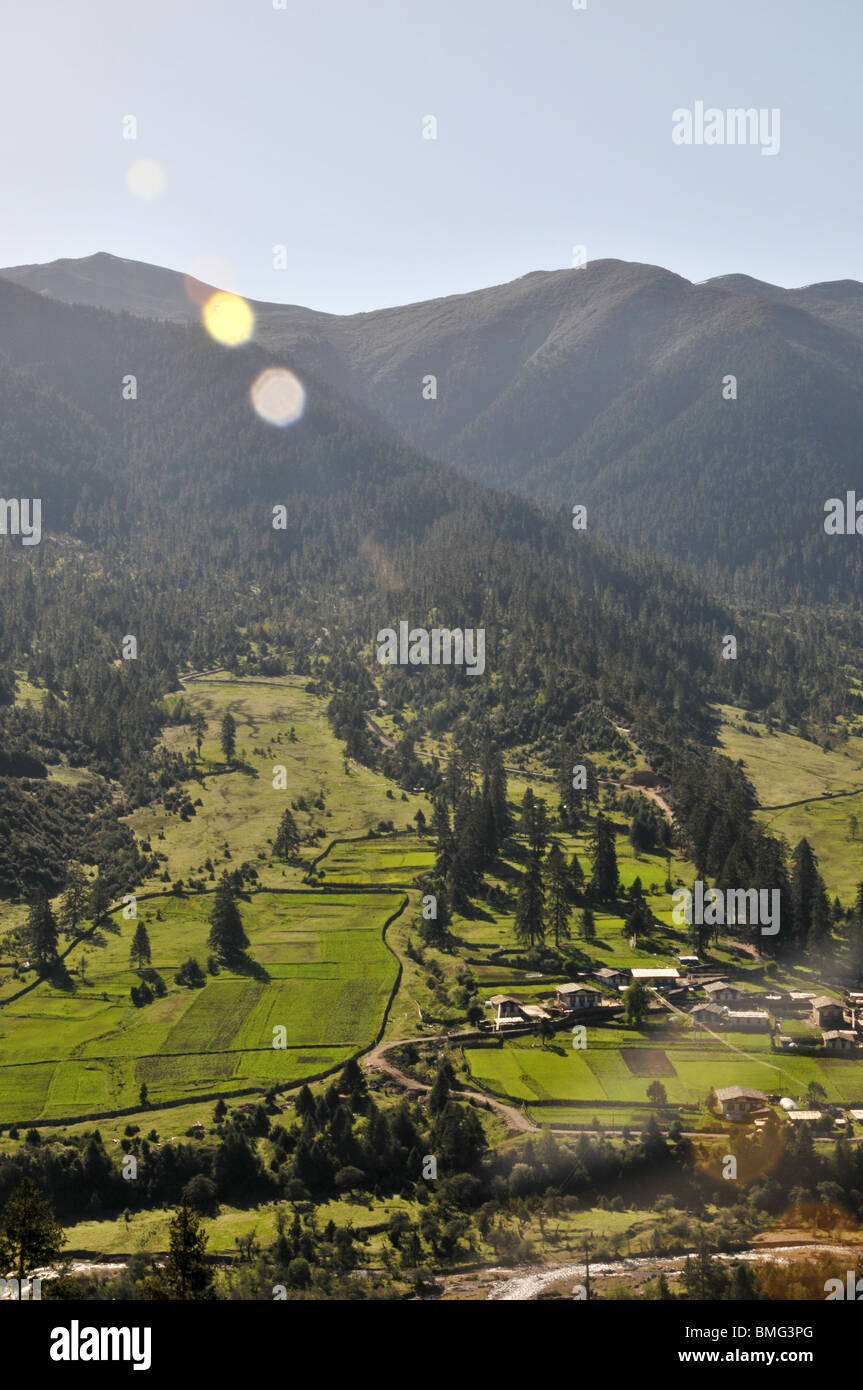 Lulang Forest, Nyingchi, Tibet, China Stock Photo - Alamy