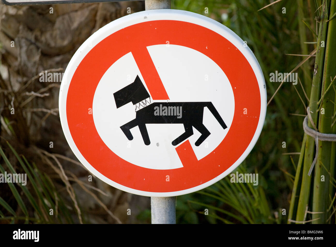 Dogs prohibited sign Stock Photo - Alamy
