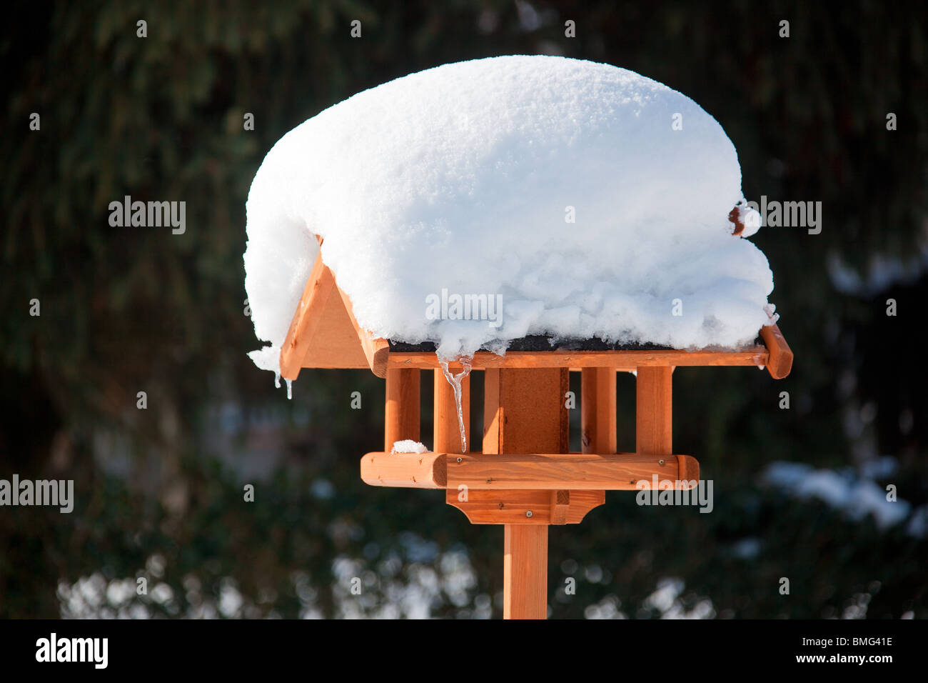 Bird House with snow Stock Photo - Alamy