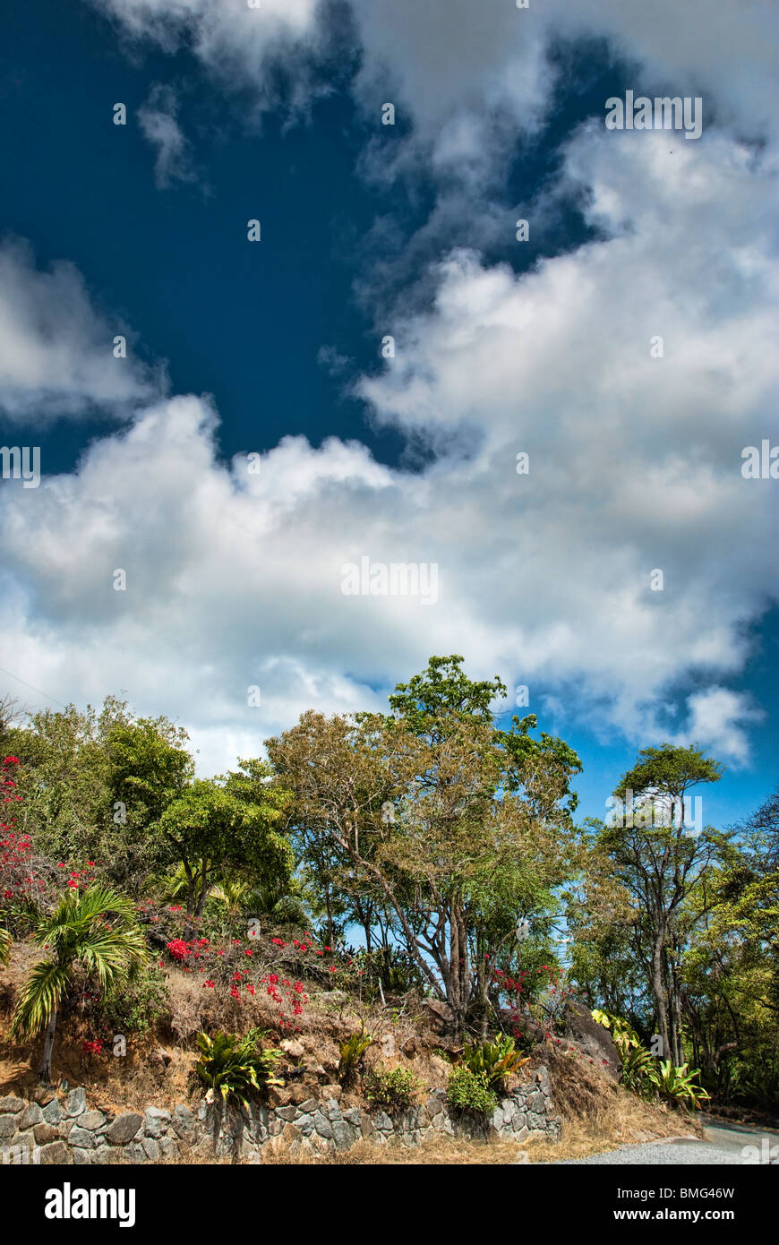 Saint Thomas Landscape and Colors, Caribbean Stock Photo - Alamy