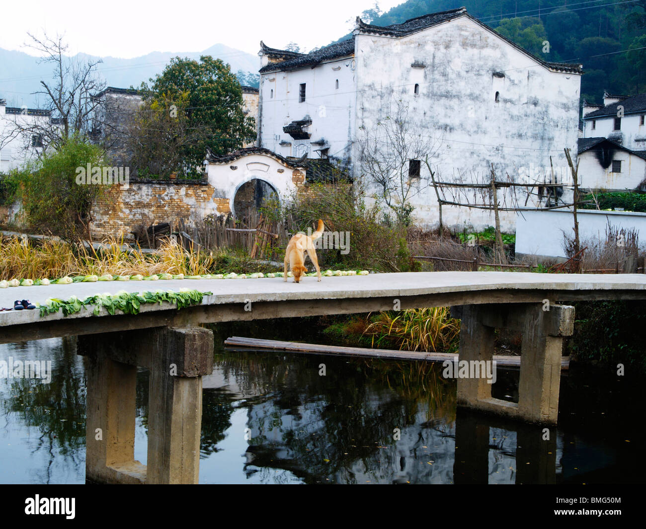 Traditional Hui style homes, Wuyuan, Jiangxi Province, China Stock ...