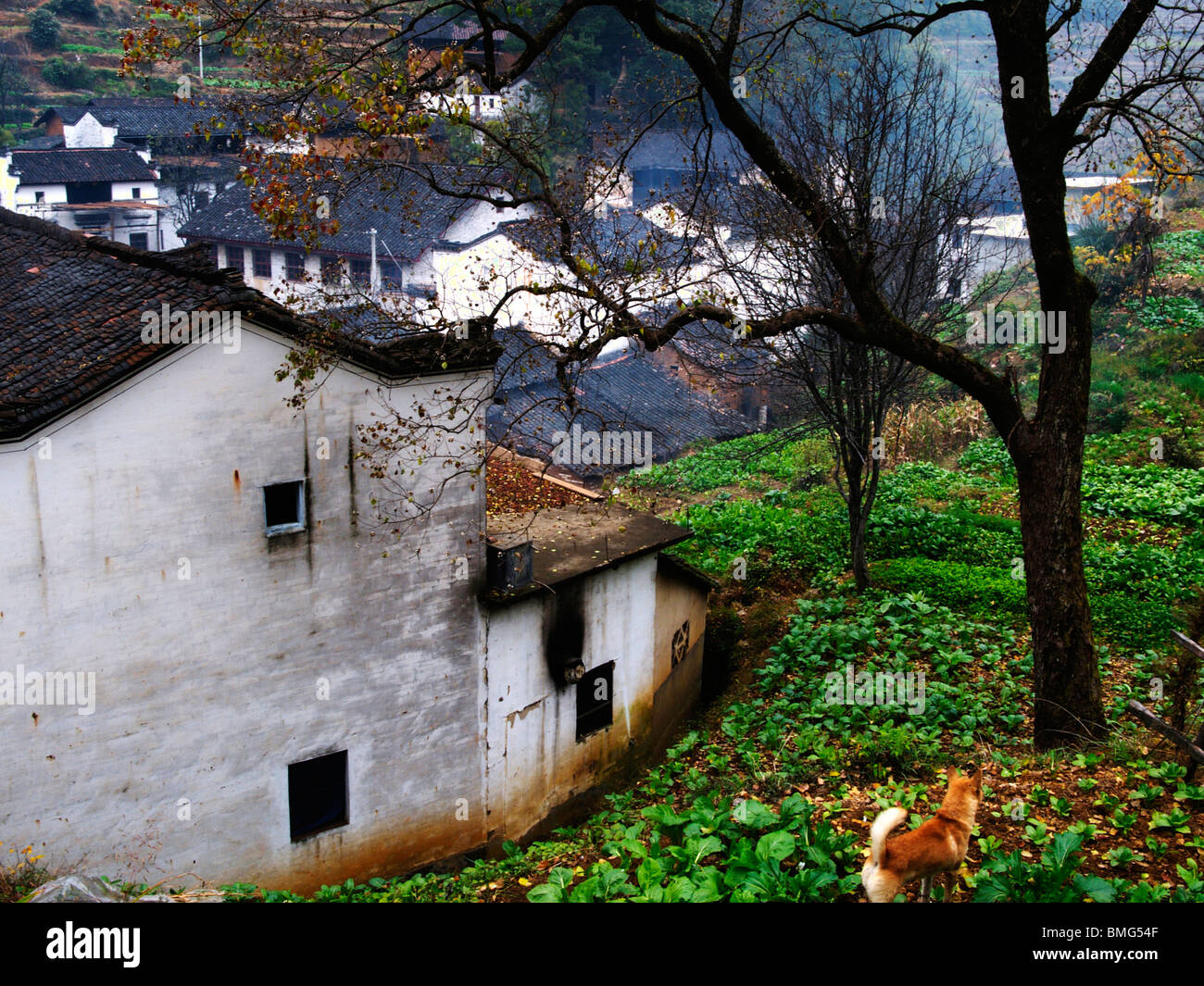 Traditional Hui style homes, Wuyuan, Jiangxi Province, China Stock ...