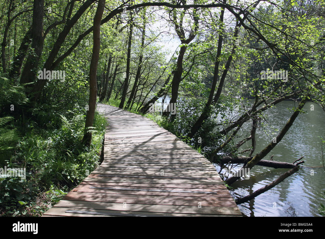Clyde walkway hi-res stock photography and images - Alamy