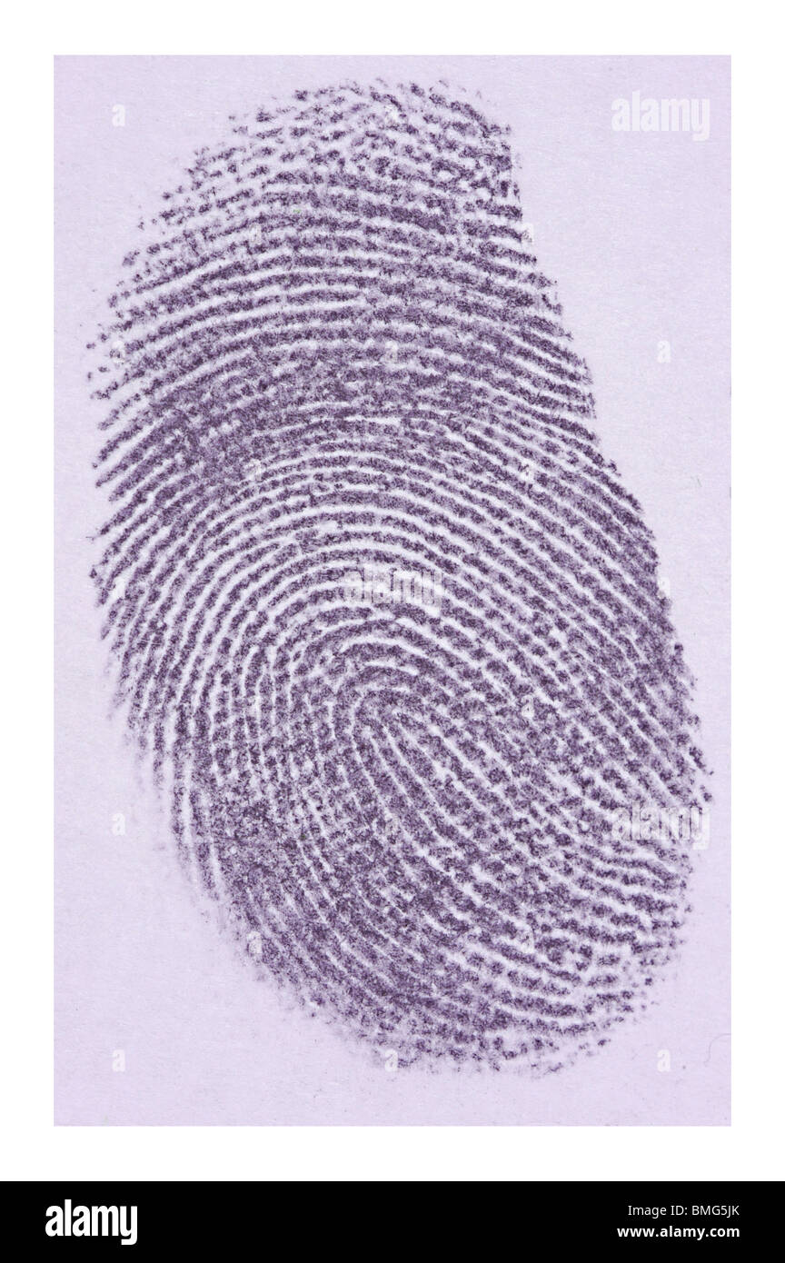 Identification mark Cut Out Stock Images & Pictures - Alamy