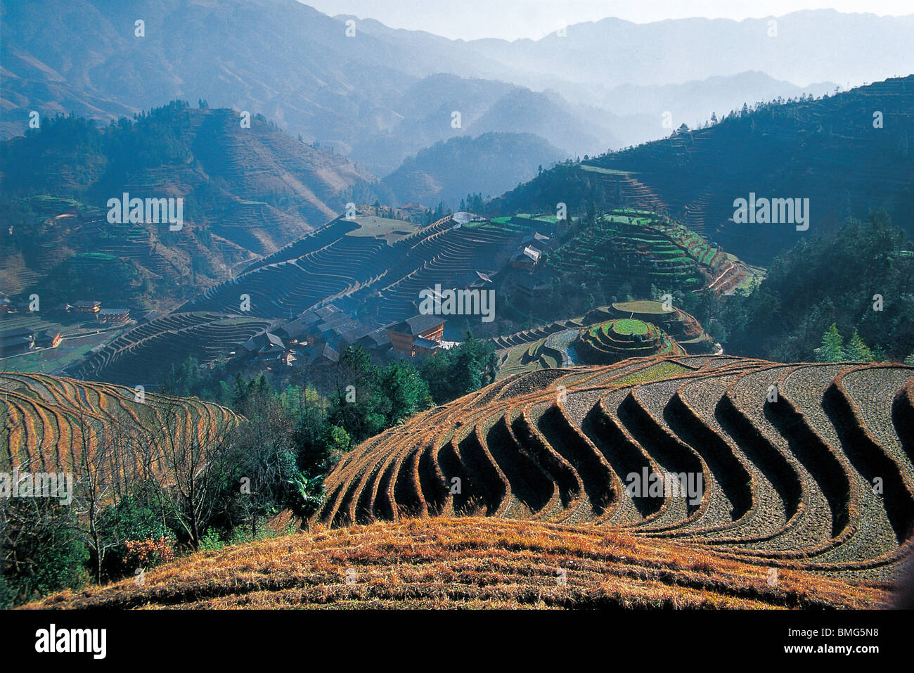Longji Terraced Field, Longsheng Various Nationalities Autonomous ...