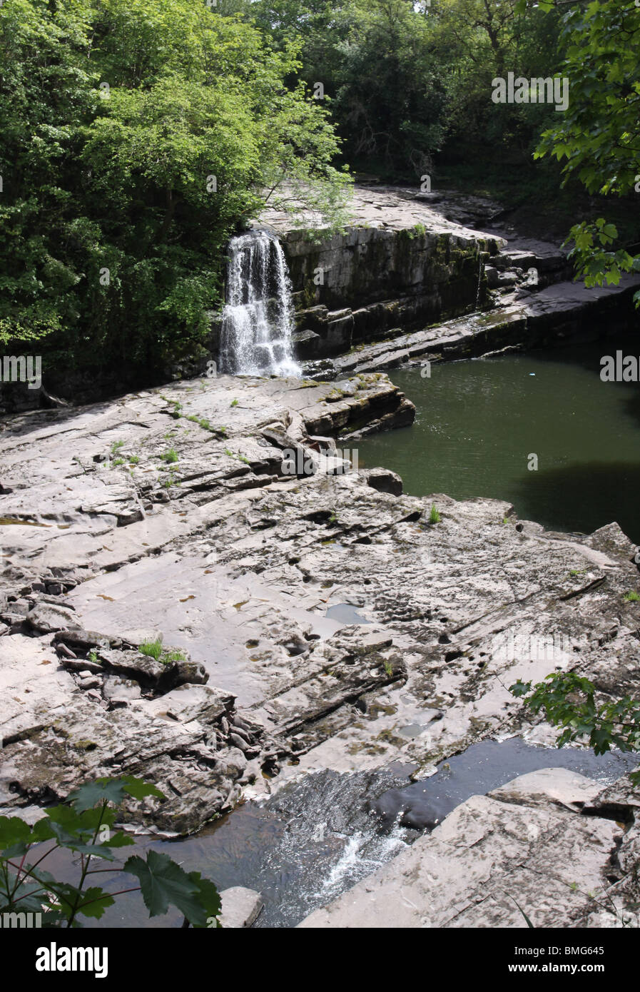 Bonnington Linn waterfall on River Clyde South Lanarkshire Scotland ...