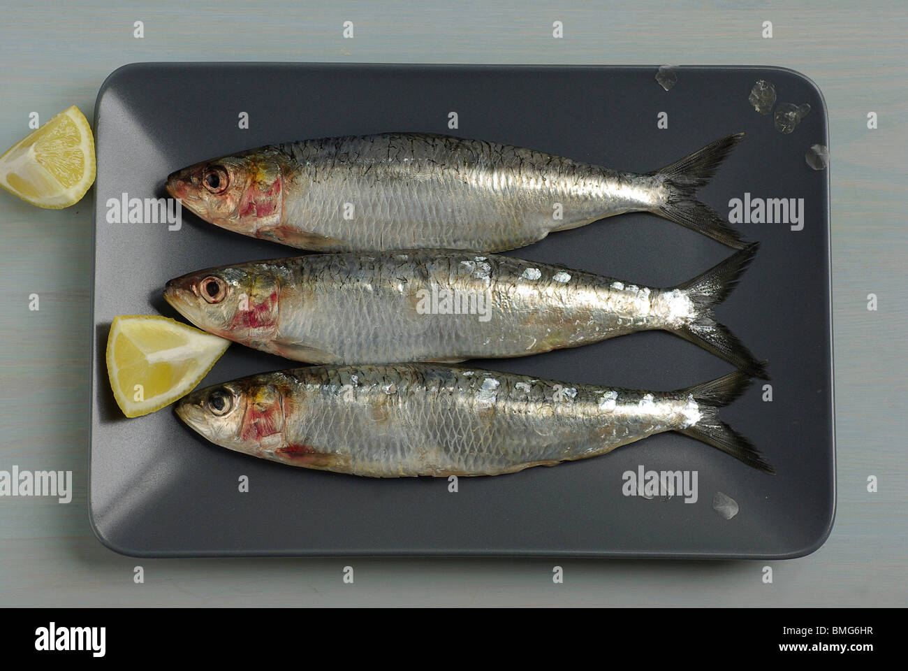 Close up of sardines hi-res stock photography and images - Alamy