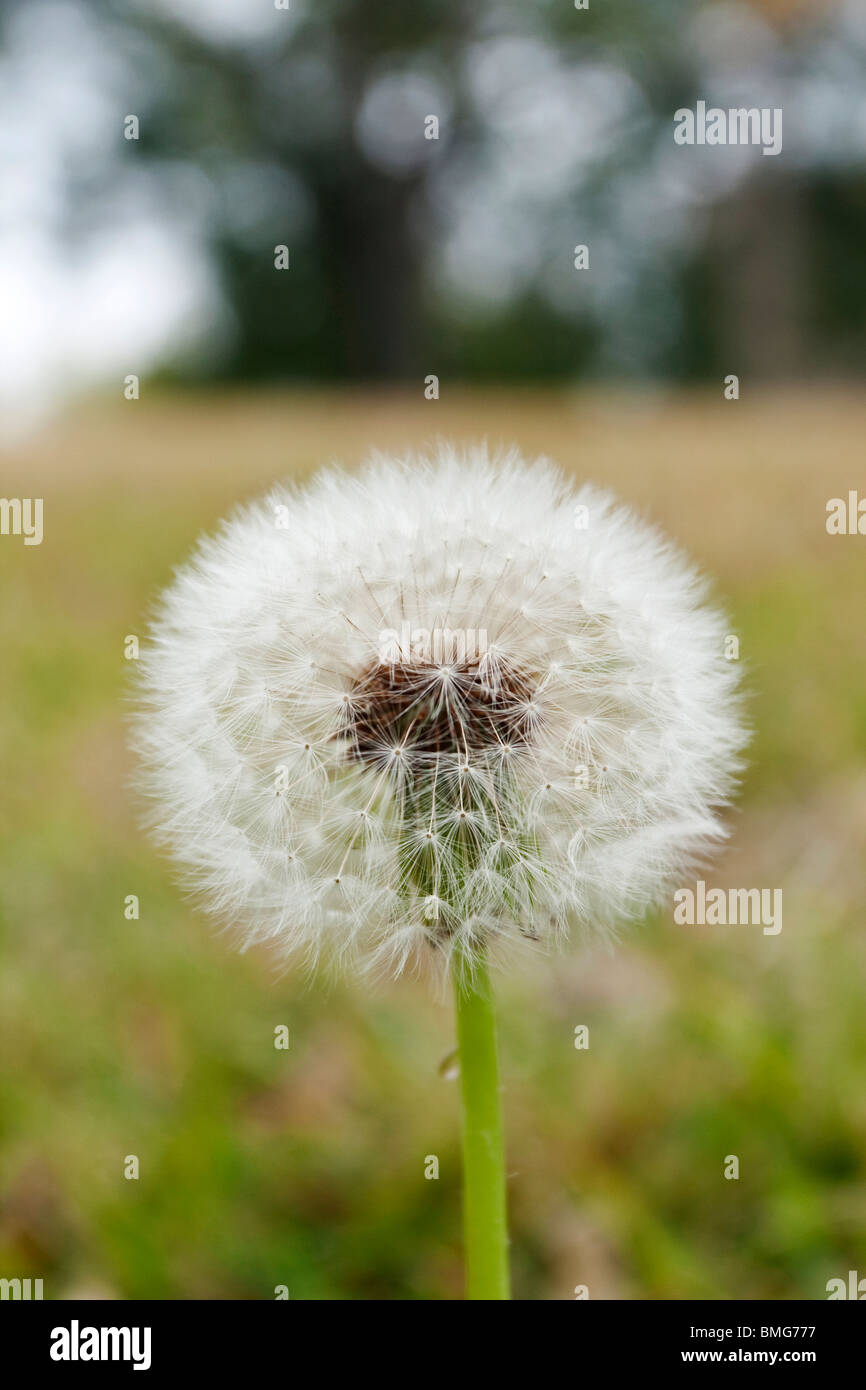 Parachute china hi-res stock photography and images - Alamy