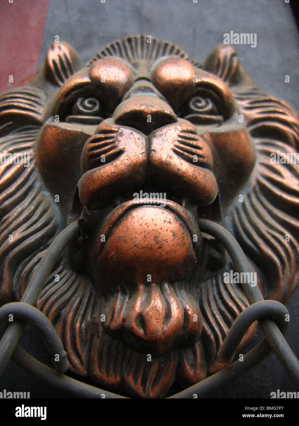 Lion shaped hi-res stock photography and images - Alamy