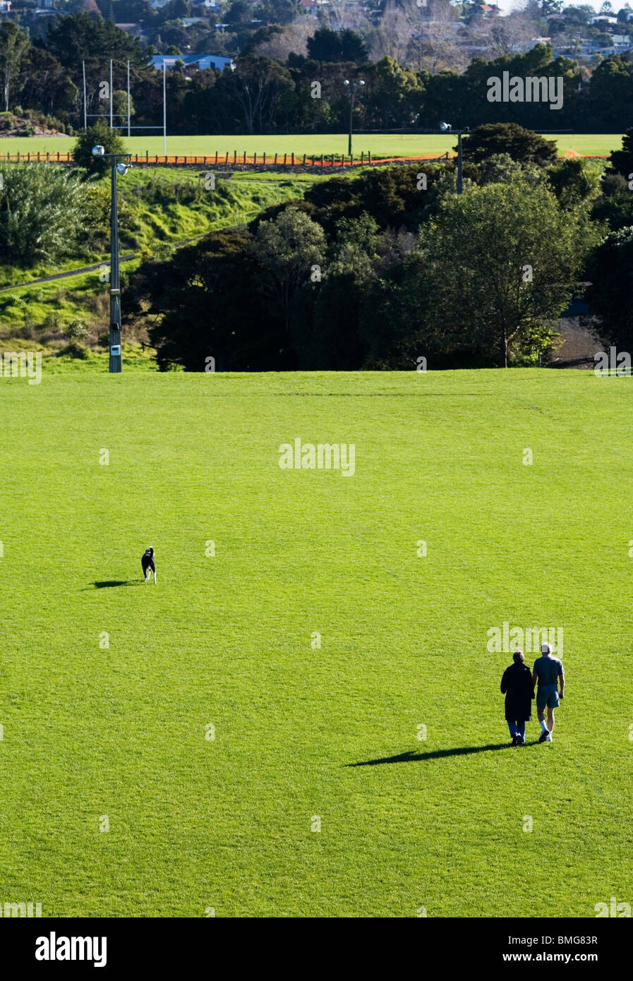 A couple strolls in a green rugby field, Auckland, New Zealand Stock ...