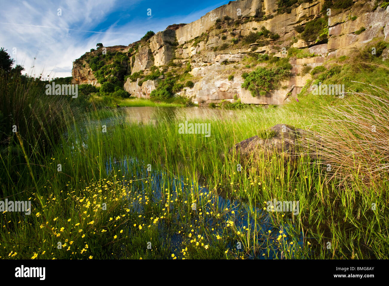 Quarry pond hi-res stock photography and images - Alamy