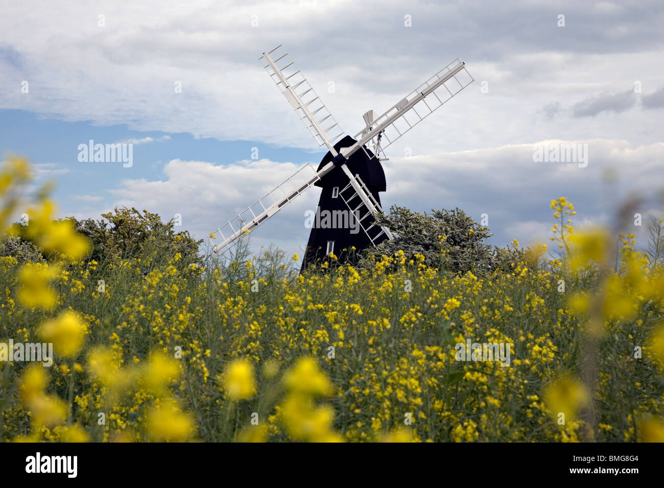 Ripple Mill, Ringwould near Deal in Kent Stock Photo - Alamy