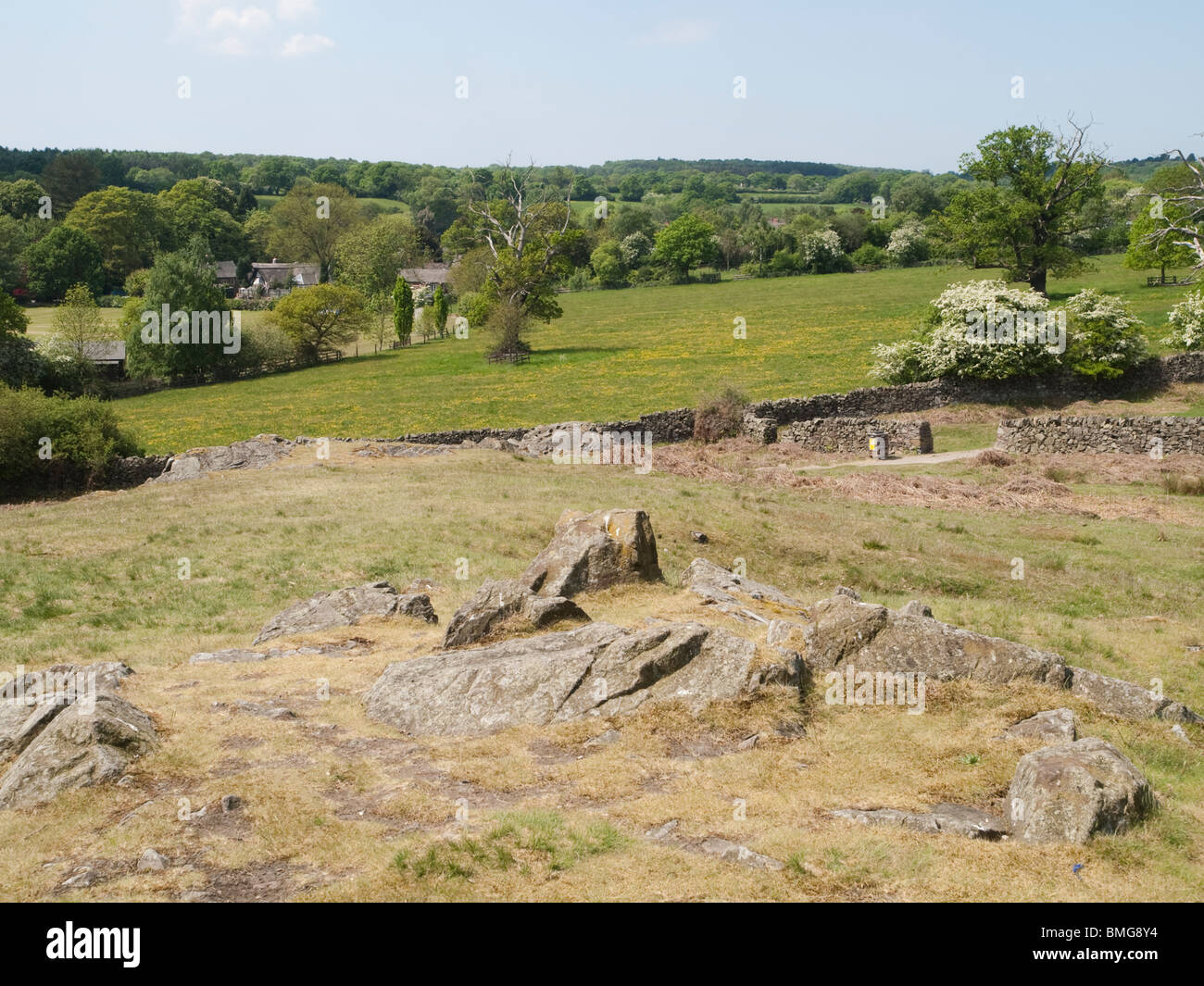 Bradgate Country Park in Leicestershire, England UK Stock Photo - Alamy