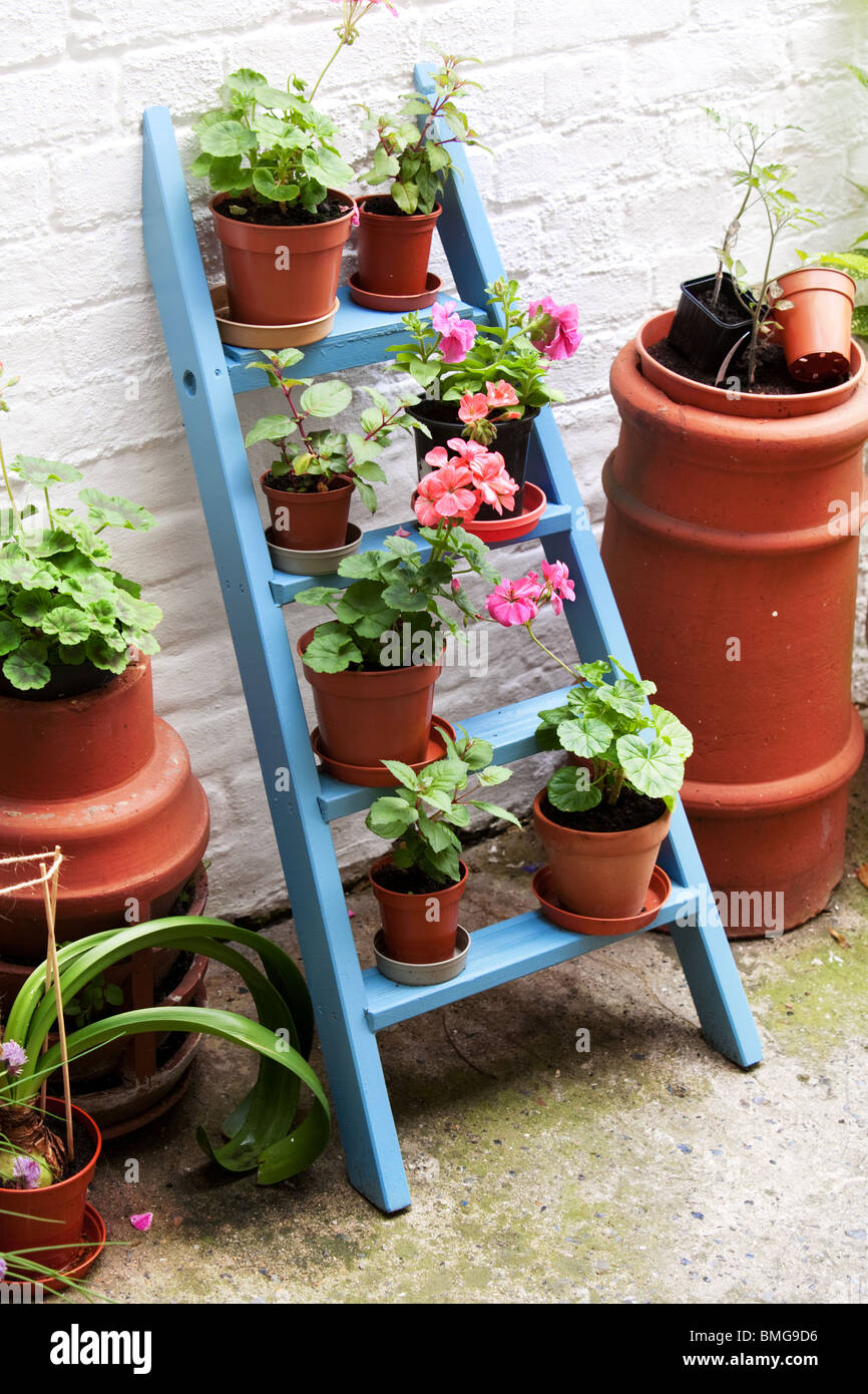 Unusual flower pots hi-res stock photography and images - Alamy