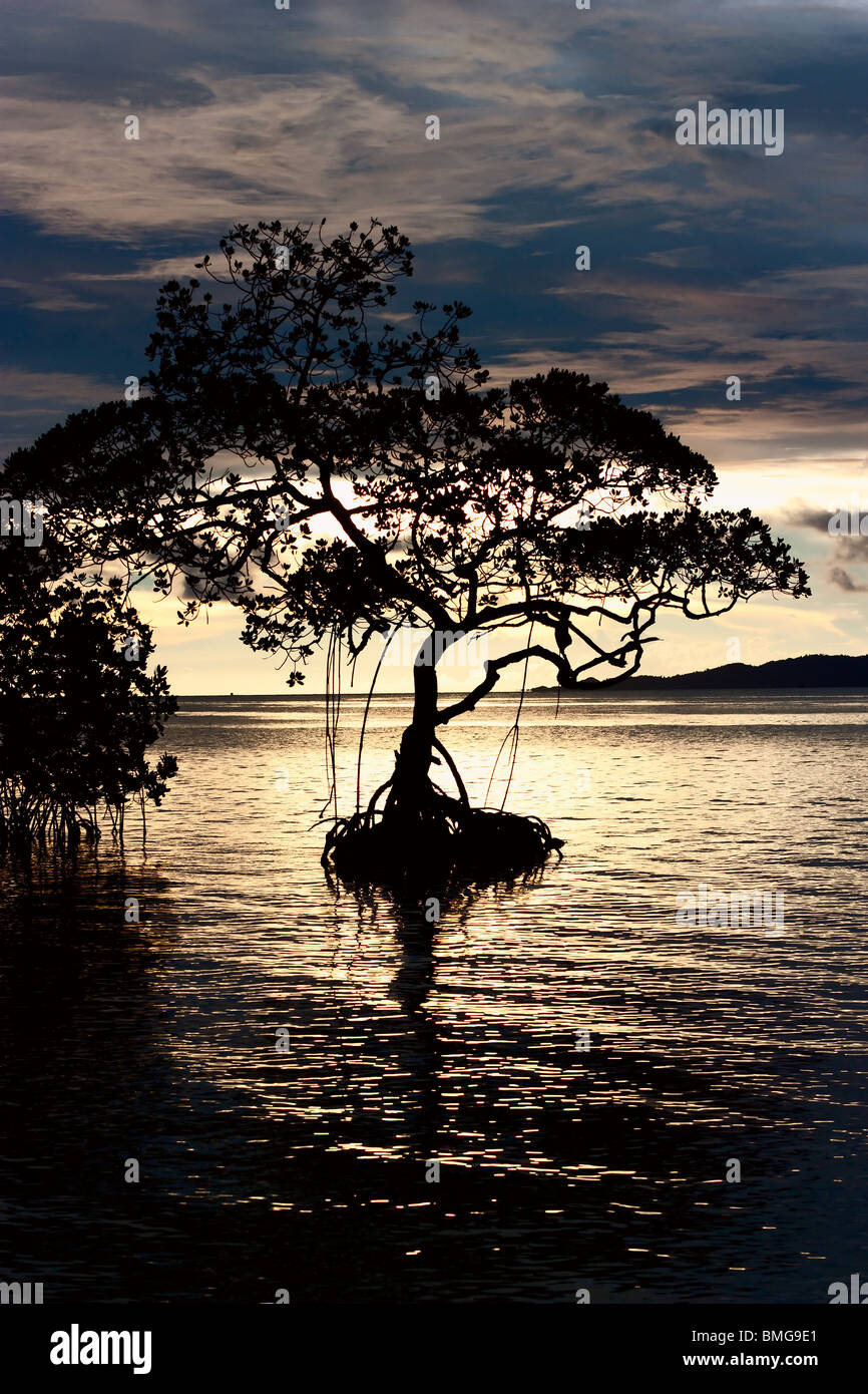 One ocean hi-res stock photography and images - Alamy
