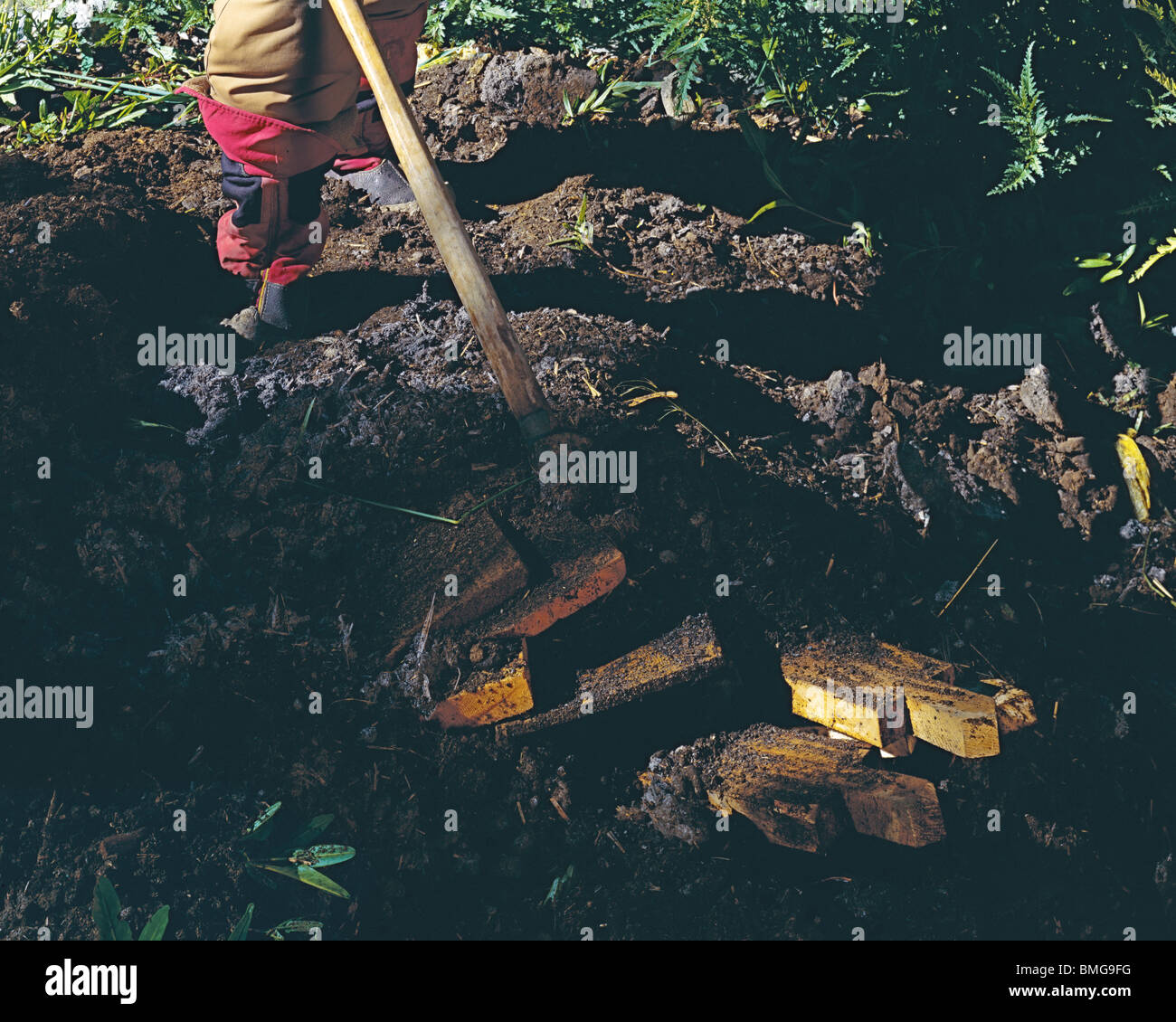 Craftsmen digging out wooden scripture block from Yak dung, Dege Sutra ...