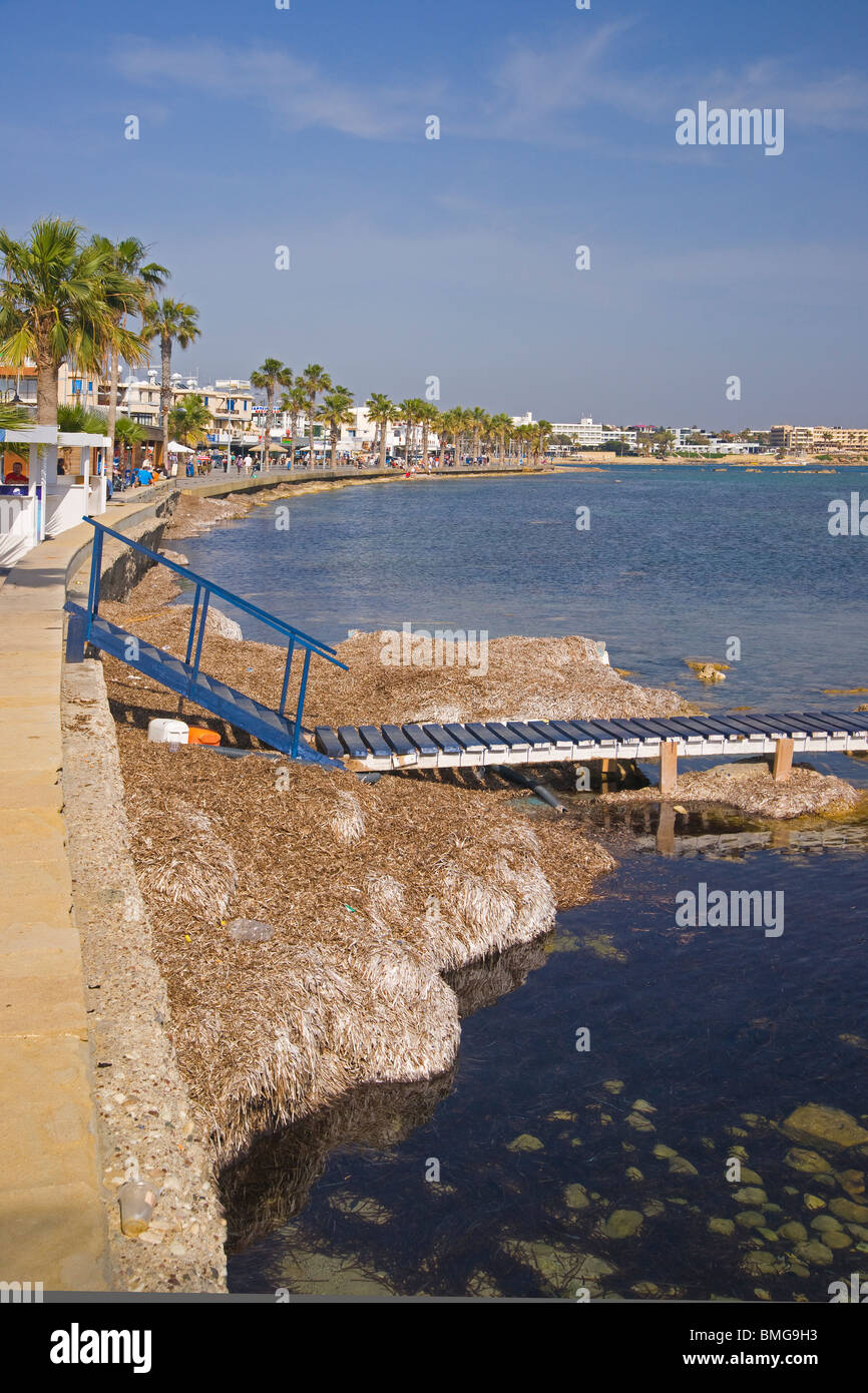 Promenade, seafront, Paphos, Cyprus Stock Photo - Alamy
