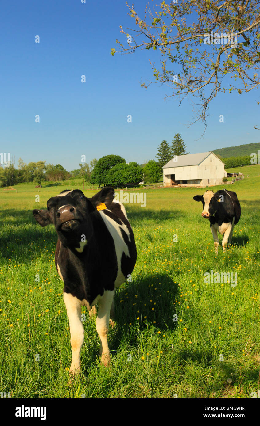 Cavetown hi-res stock photography and images - Alamy