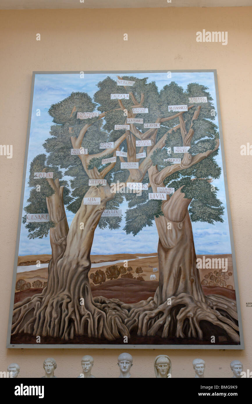 Representation as actual "trees" of the genealogic tree of the Julio ...