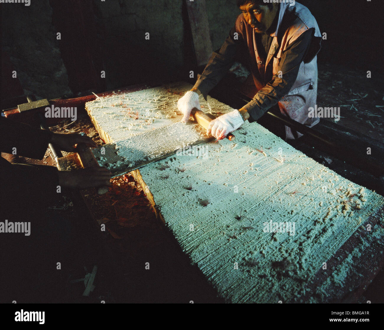 Tibetan worker polishing sides of printed sutra in booking binding ...