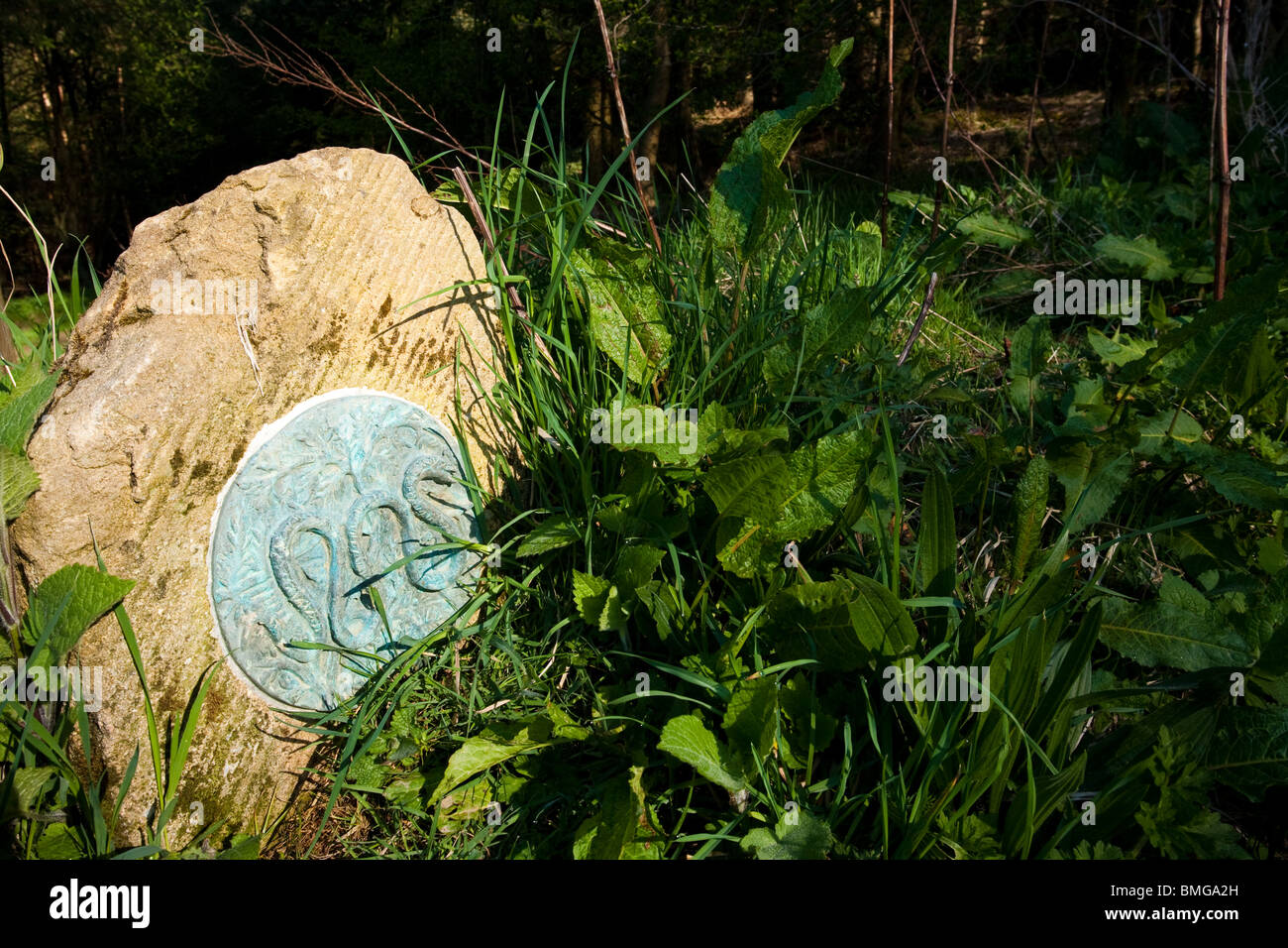 Snake in the woods hi-res stock photography and images - Alamy