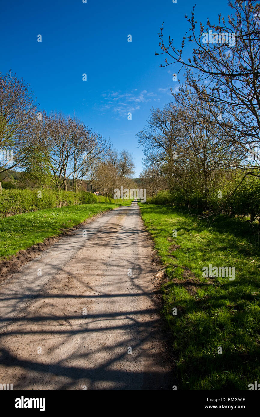 Moor Lane near Nether Silton, NYM, England Stock Photo - Alamy